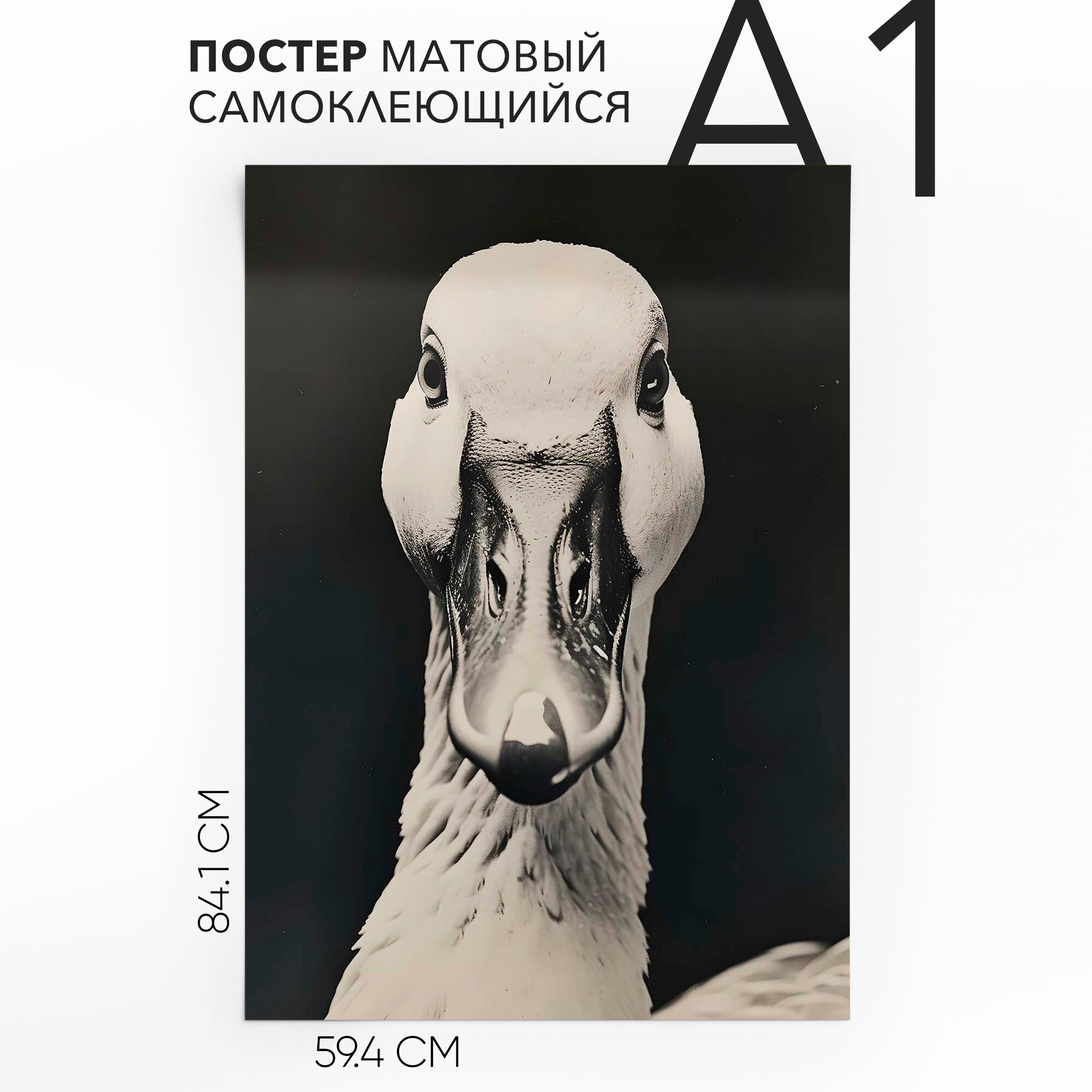 Постеры на стену самоклеящийся, большой A1 Гусь, влагостойкий, для декора