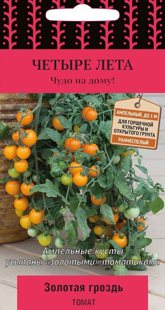 Семена Томат Четыре лета «Золотая гроздь» (А), 1 г, (3 упак.)