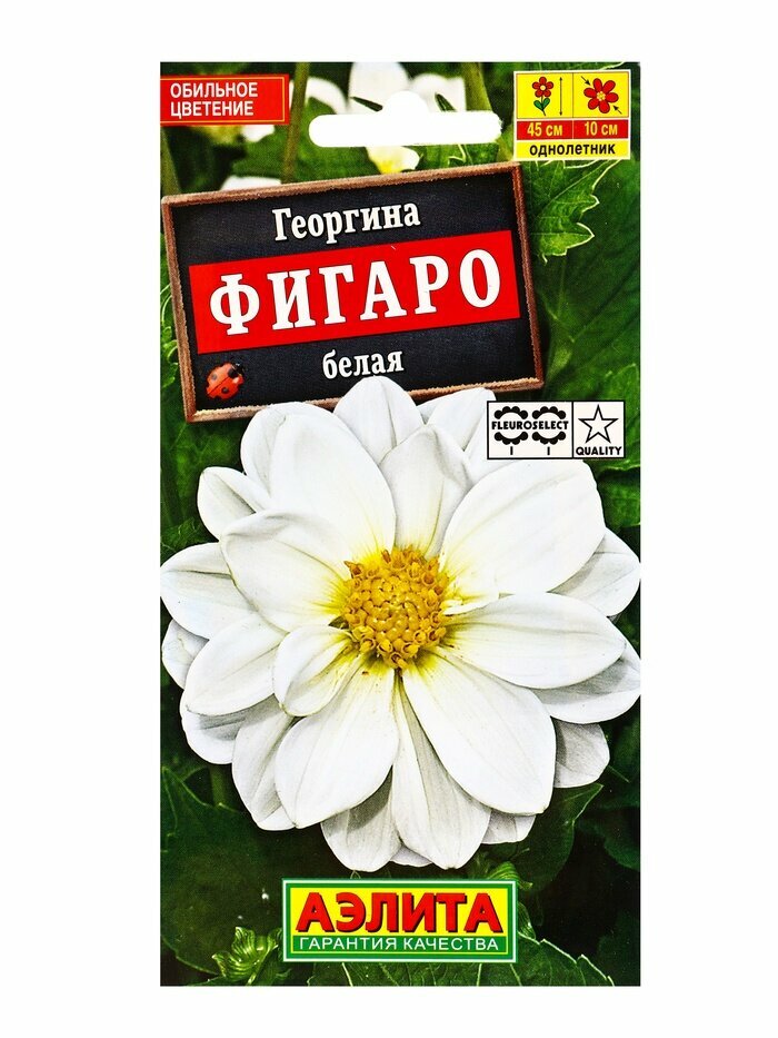 Семена цветов Георгина Фигаро махровая белая , Ц/П,7 шт. 10945452