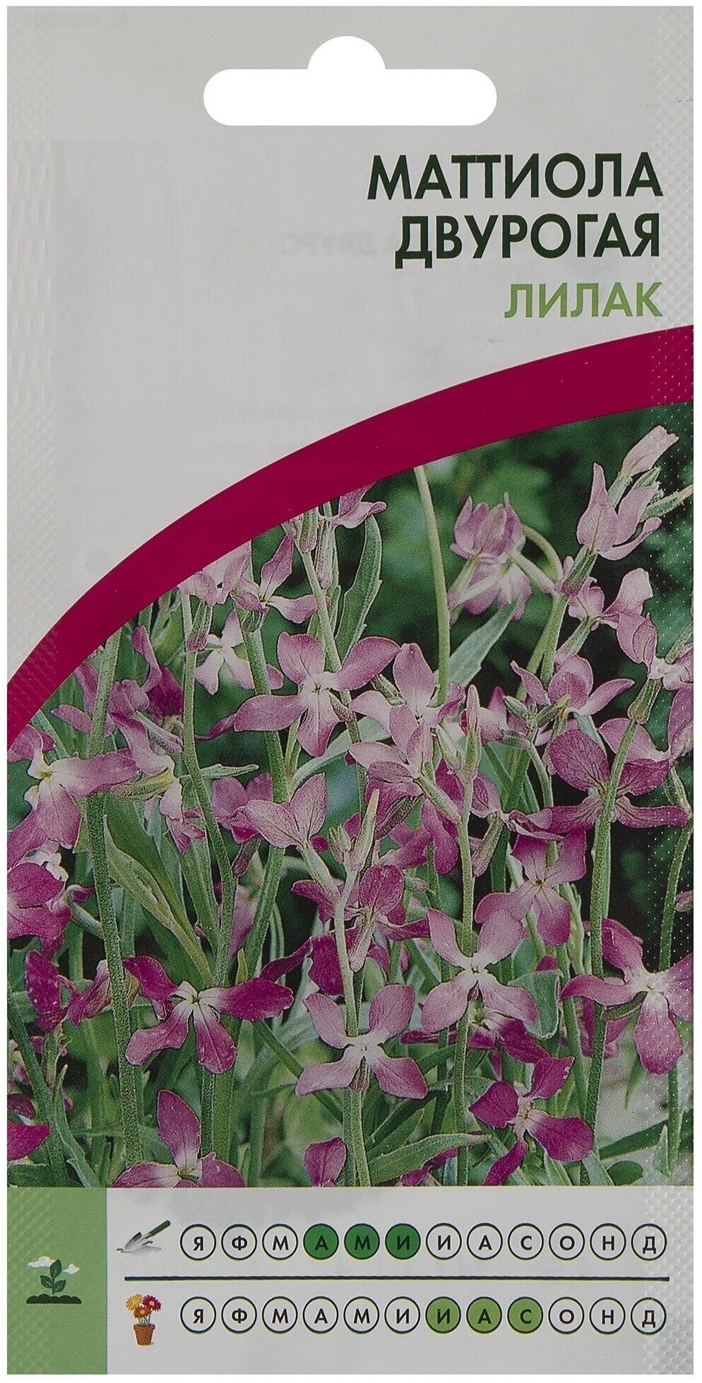 Маттиола двурогая "Лилак", 0.005 кг, высота до 50 см, самый ароматный вариант для оформления мавританских газонов, клумб, выращивания под окнами, на балконах
