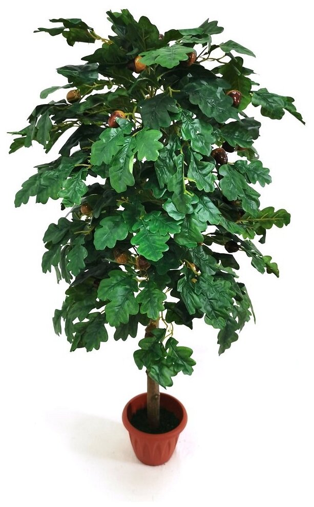 Искусственный дуб