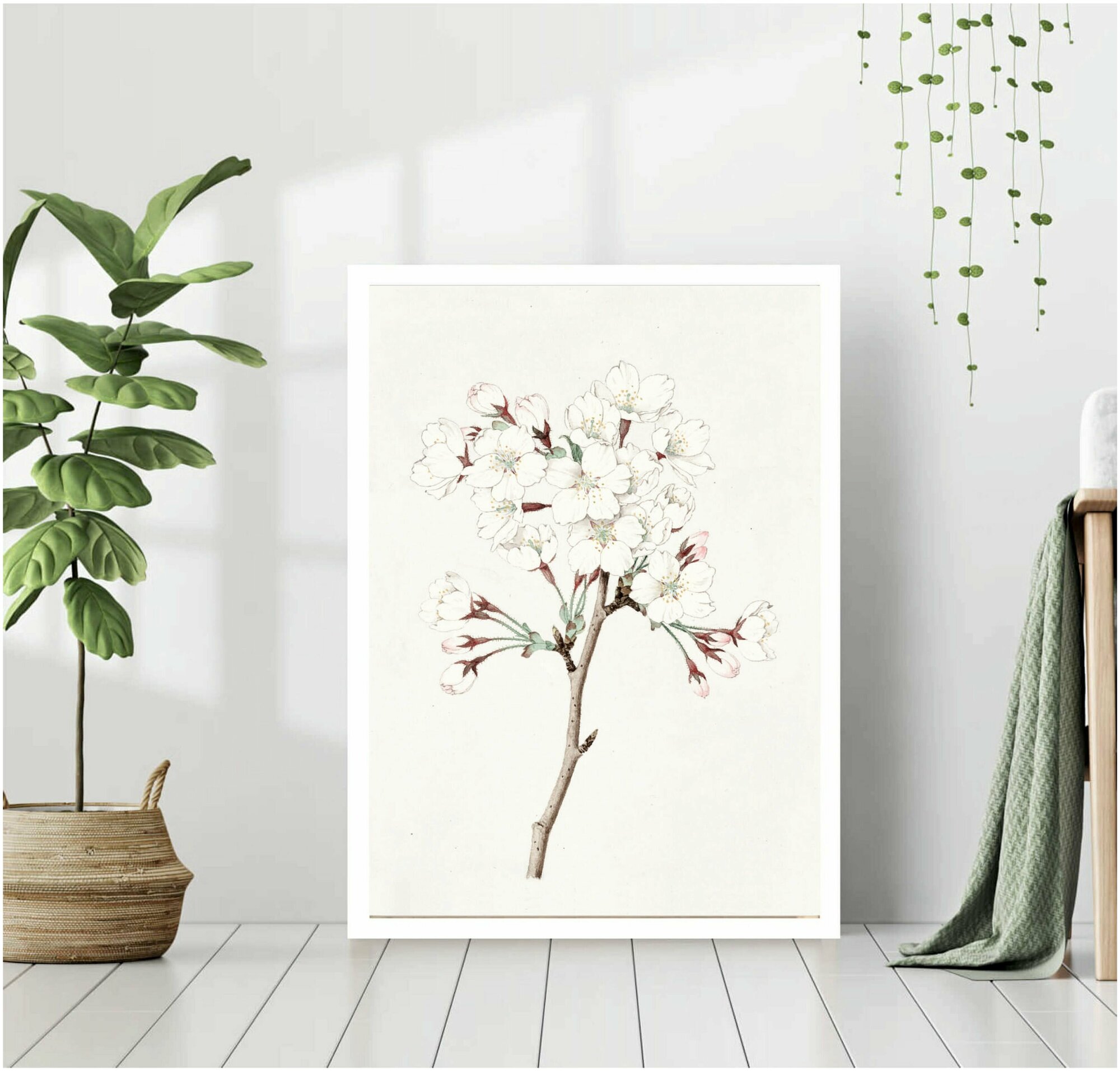 Постер "Рисунок ветка Жасмина" 50x70 в белой рамке на стену для интерьера