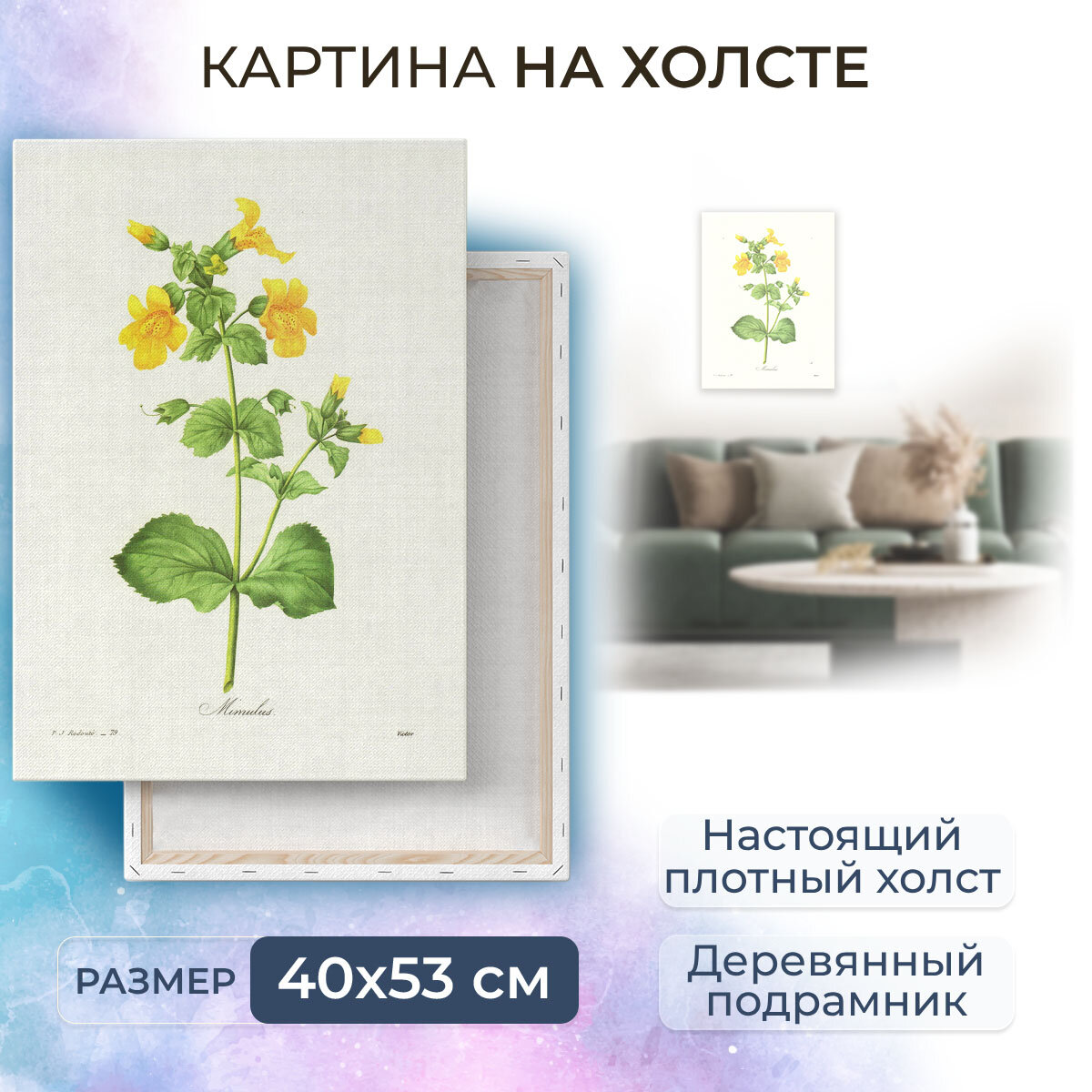 Картина на холсте с подрамником / Pierr - Joseph Redoute / Пьер-Жозеф Редуте