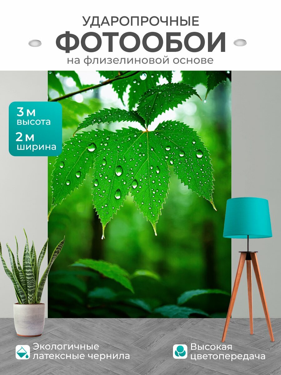 Фотообои моющиеся ударопрочные "Летний дождь, капли на листьях, свежая зелень" 200x300 см. флизелиновые на стену