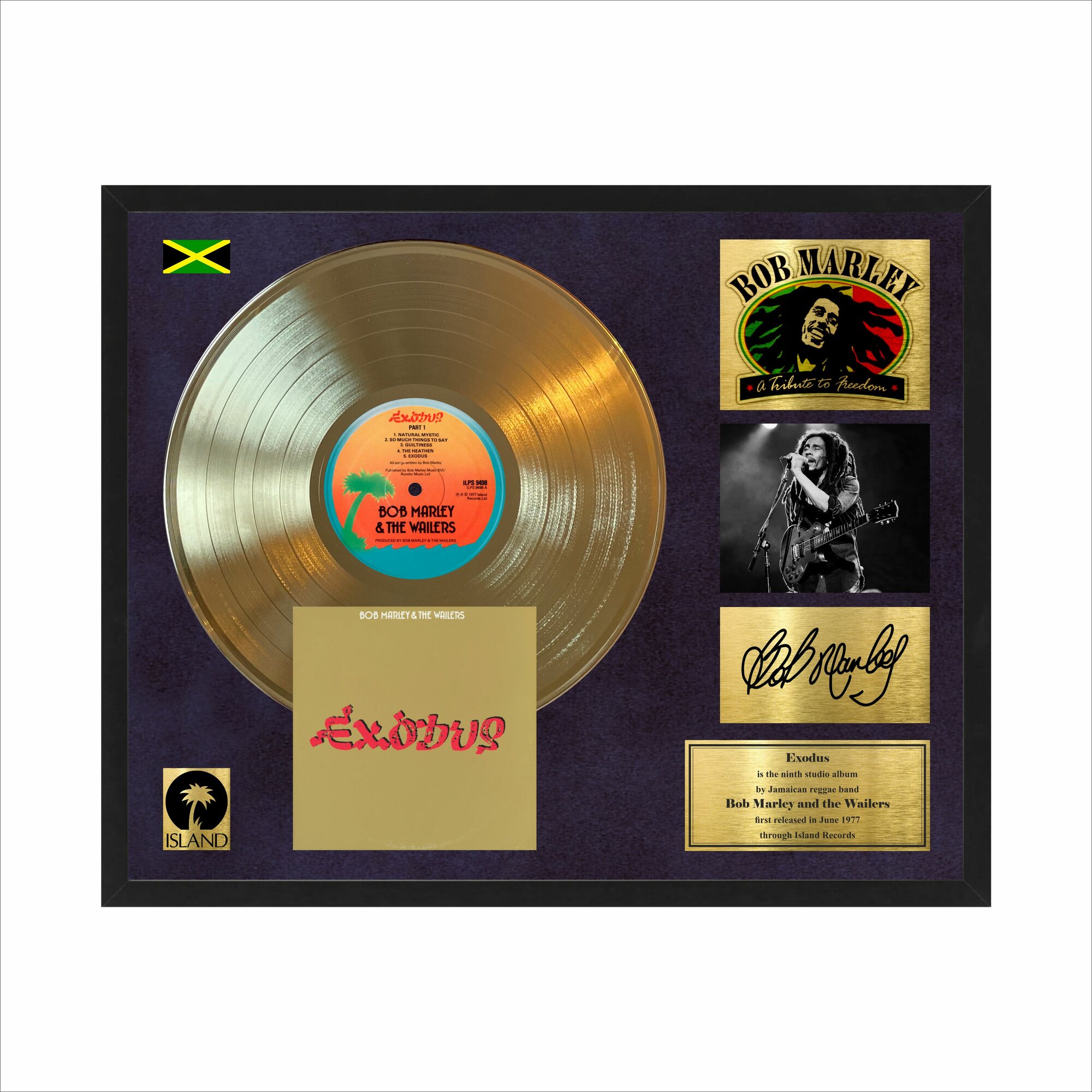Виниловая пластинка Bob Marley в рамке