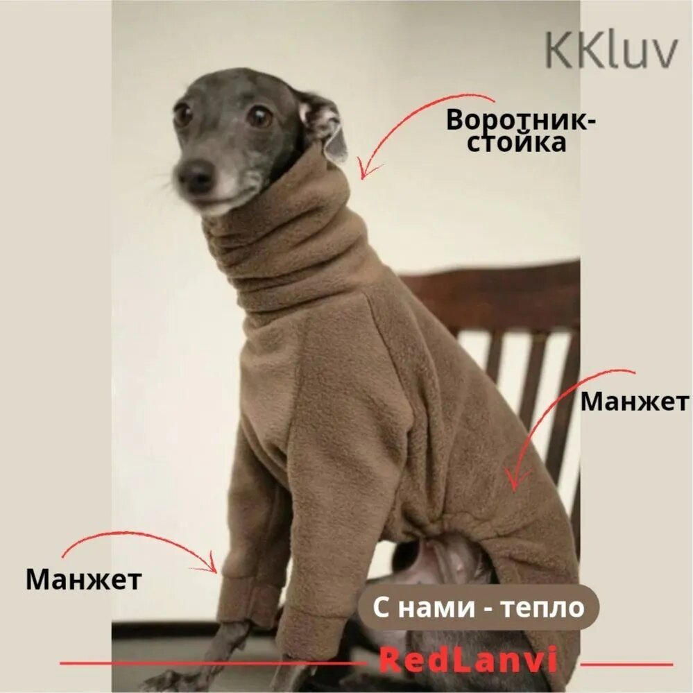 Одежда для животных — фото 1