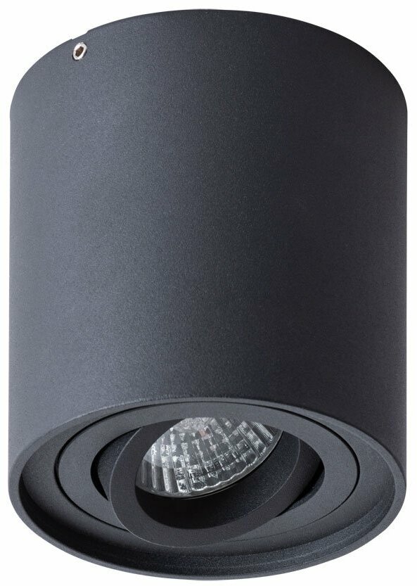 Потолочный светильник Arte Lamp Falcon A5645PL-1BK