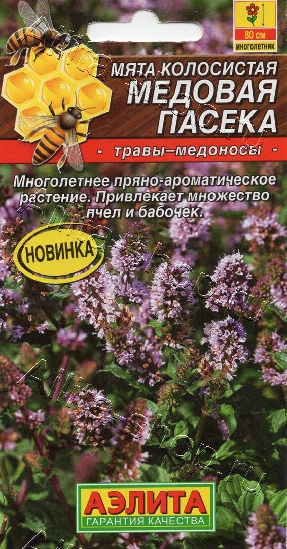 Мята колосистая Медовая пасека (3 упаковки), семена