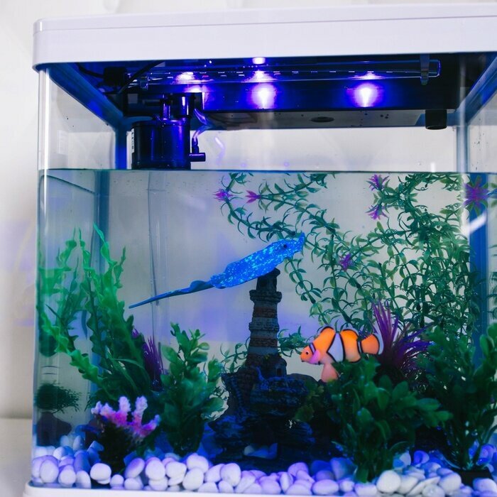 Декор для аквариума "Клоун оцеллярис", силиконовый, с неоновым эффектом, 6,6 х 4,3 см 10069618