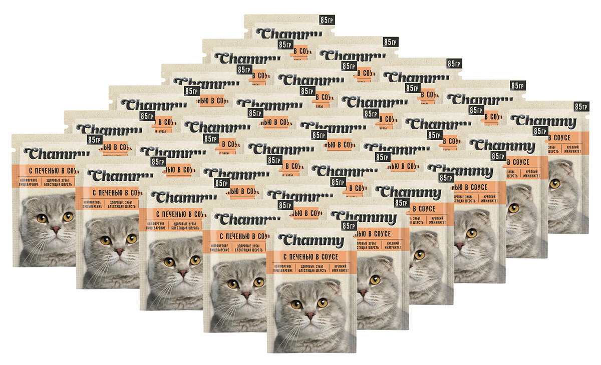 Корм влажный Chammy для взрослых кошек с печенью в соусе пауч 85 г х 30 шт
