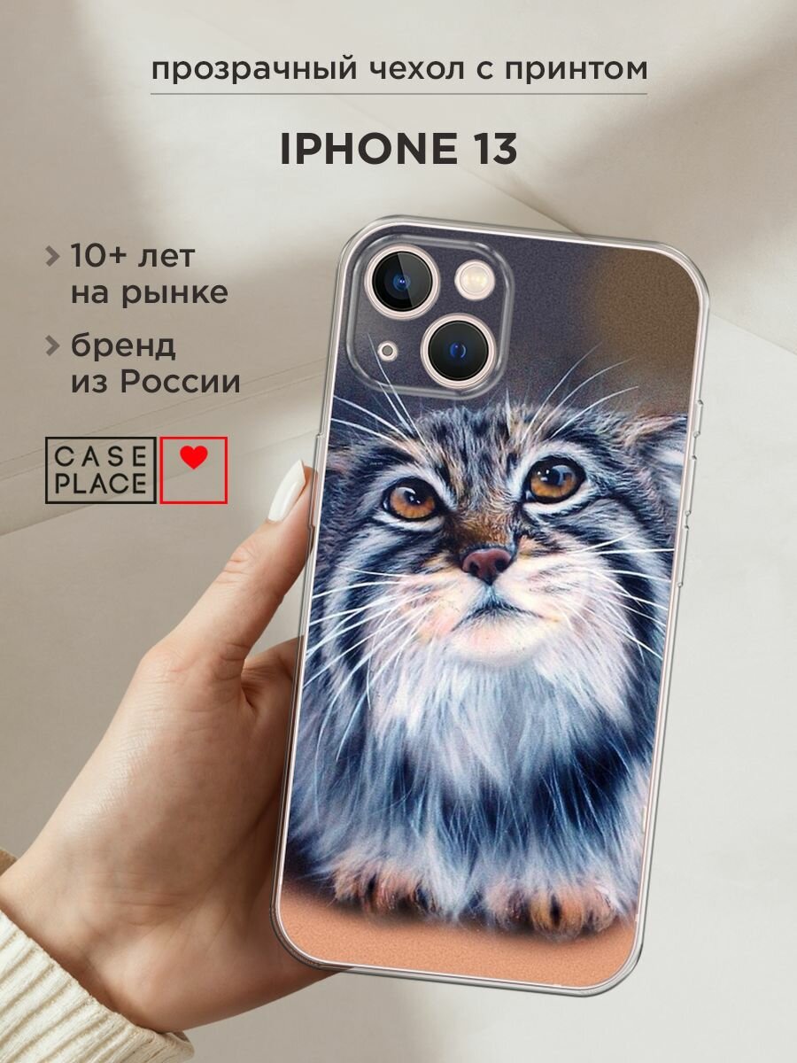 Силиконовый чехол на Apple iPhone 13 / Айфон 13 с принтом "Кот манул 2"