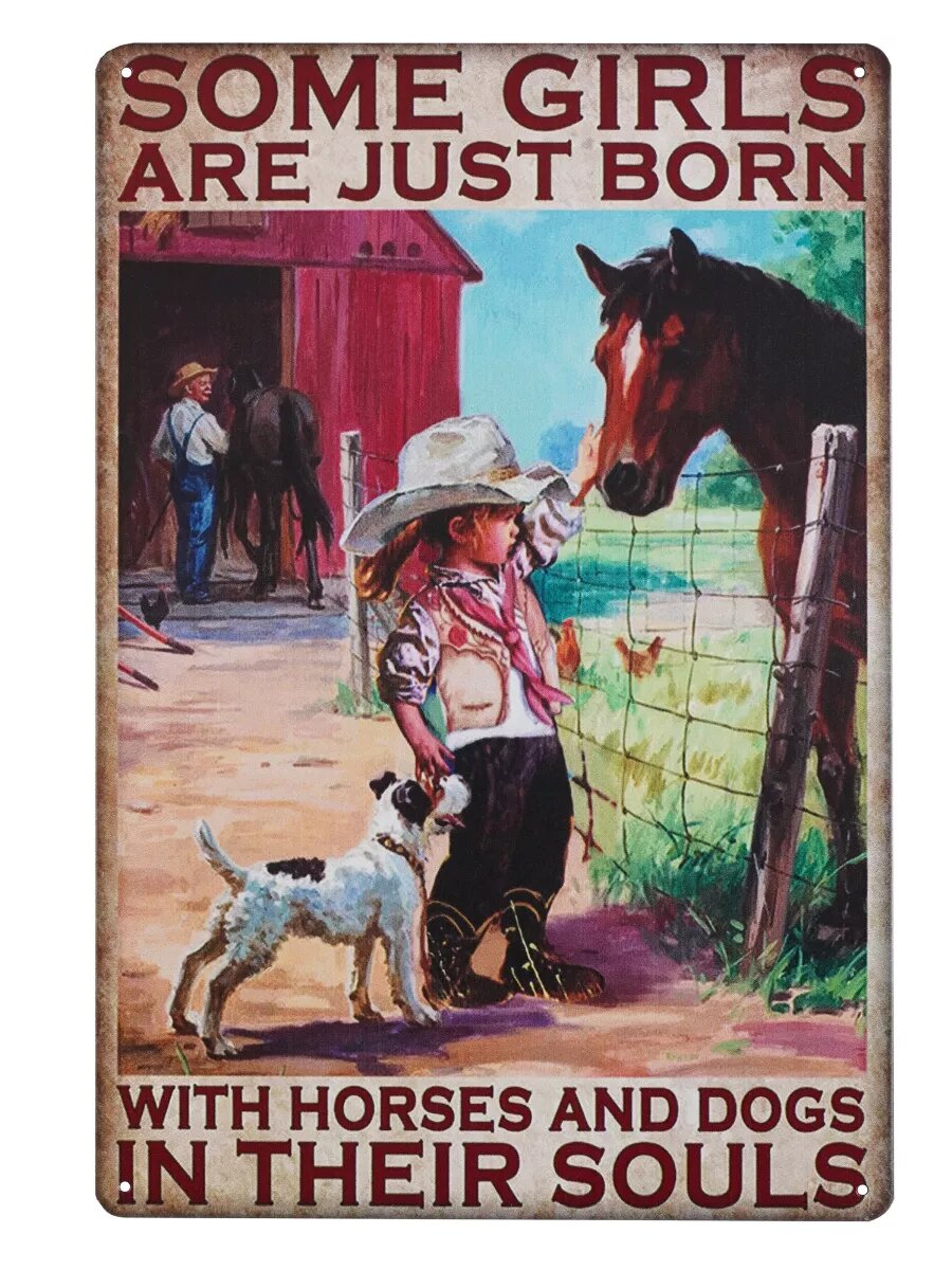 Sweethorse / Винтажная металлическая Картина, размер 20х30см