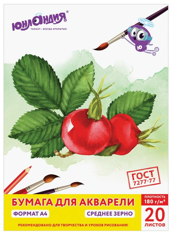 Папка для акварели А4, 20 л, 180 г/м2, юнландия, 210х297 мм, "Юнландик на даче", 111074, 1 шт