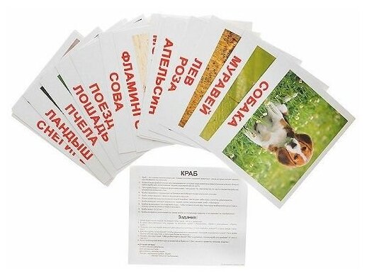 Набор обучающих карточек МОИ первые знания