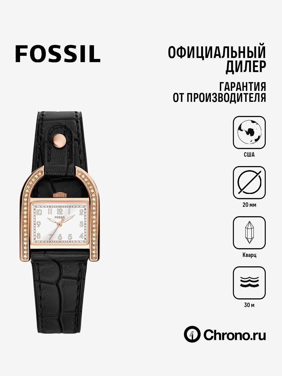  FOSSIL