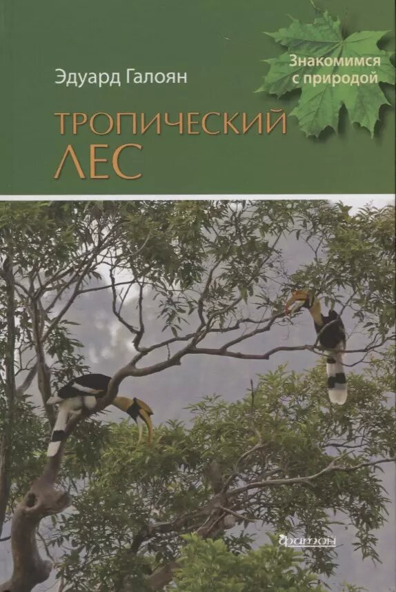 Тропический лес (Эдуард Галоян)