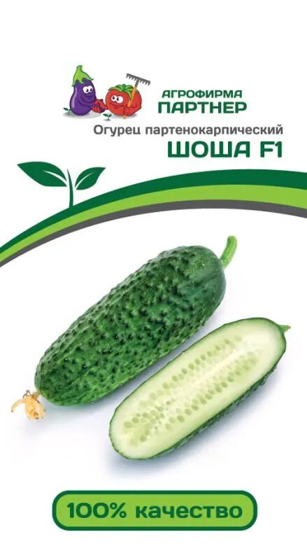 Семена огурца "Шоша F1" Агрофирма Партнер, раннеспелые, партенокарпические, 5 шт