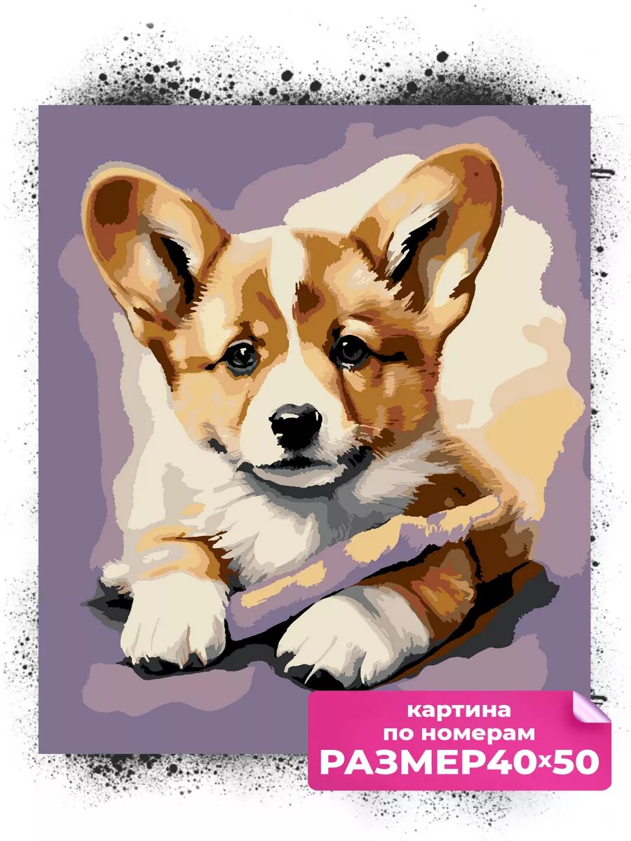 Картина по номерам корги