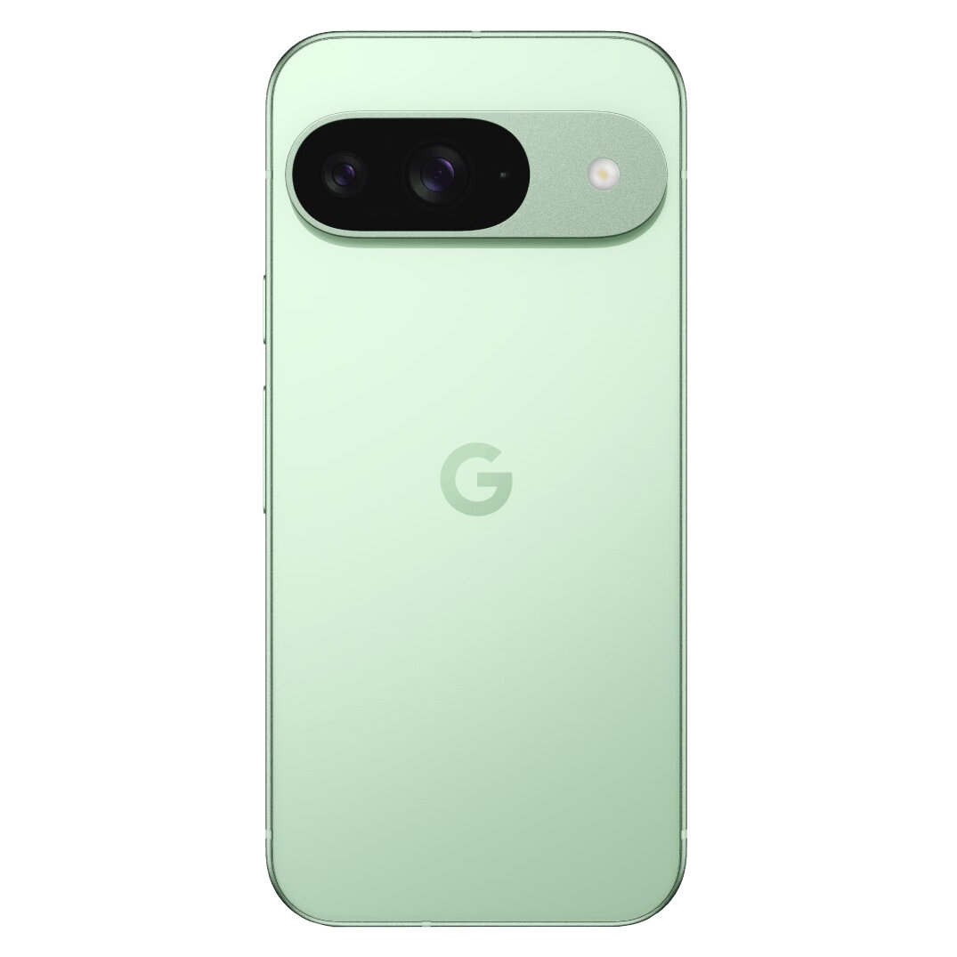Смартфон Google Pixel 9 12/256Gb nano SIM+eSIM Wintergreen (Global, US)