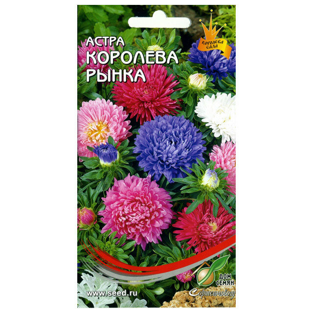 Семена астра Королева Рынка смесь Дом Семян - яркая смесь для клумб и бордюров