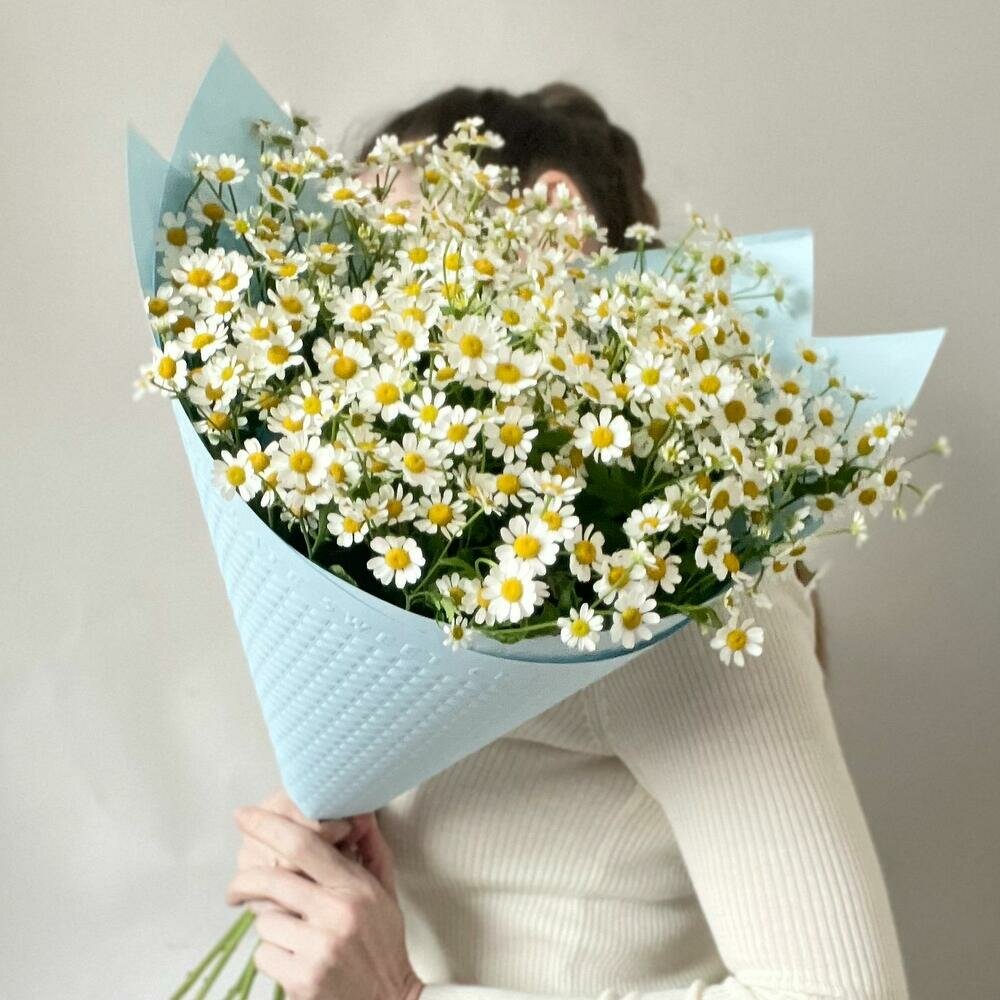 Монобукет "Ромашки букет", 9 шт, высота 40см, упаковка оберточная бумага