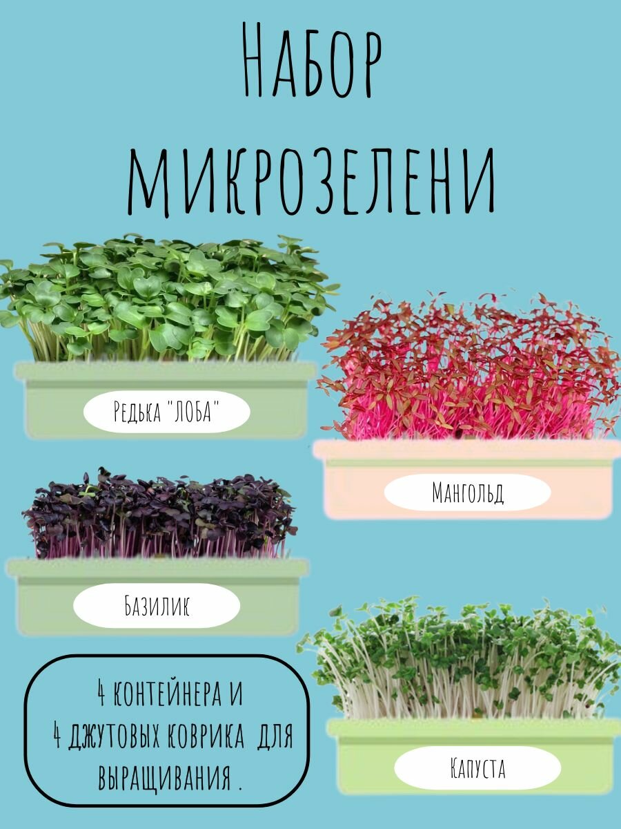 Набор семян микрозелени,4 вида