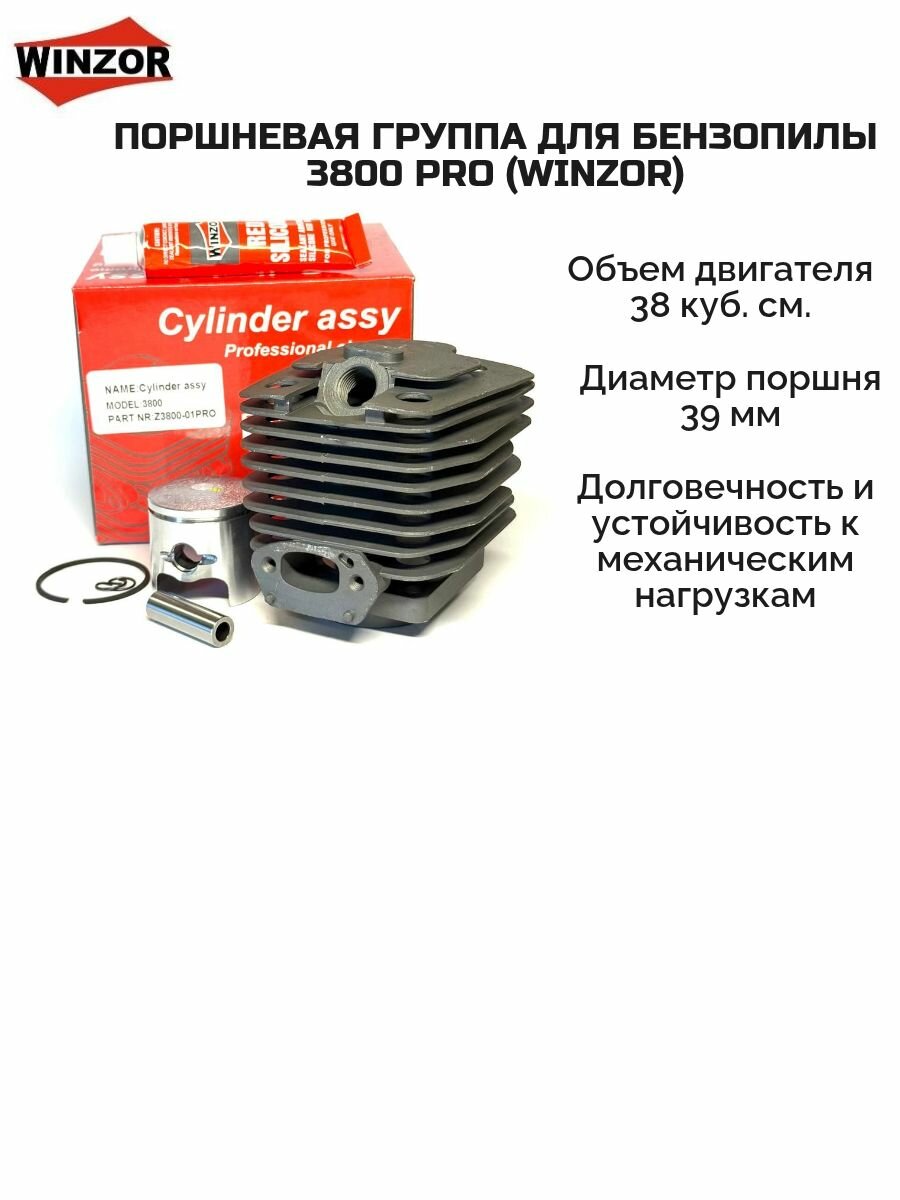 Поршневая группа для бензопилы 3800 PRO (Winzor)