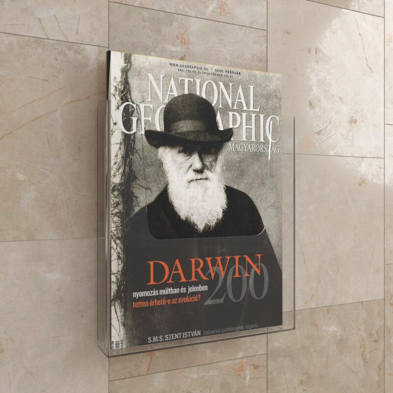 Карман настенный Attache А4 вертикальный пластик, 2 шт./уп.