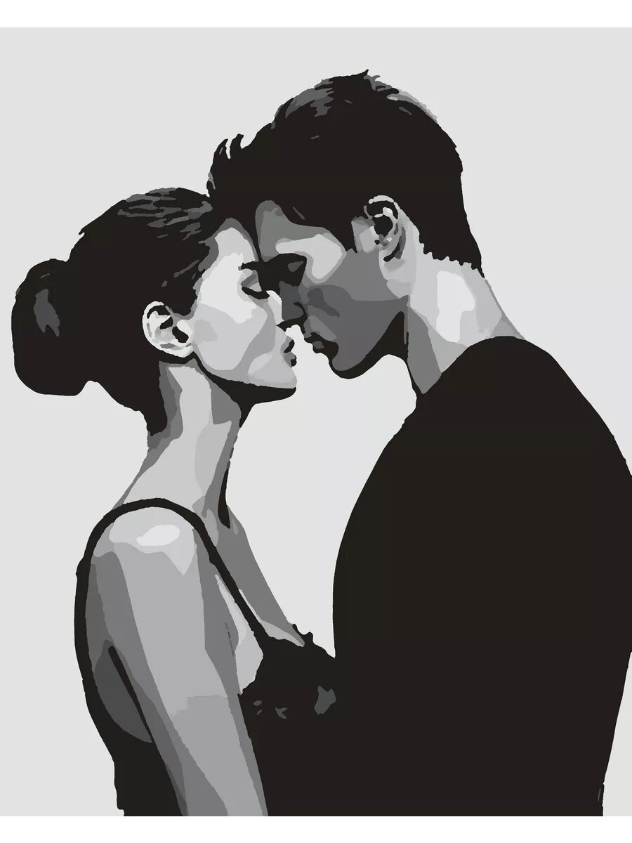 Картина по номерам "Пара", 40x50 см, холст на подрамнике, акриловые краски