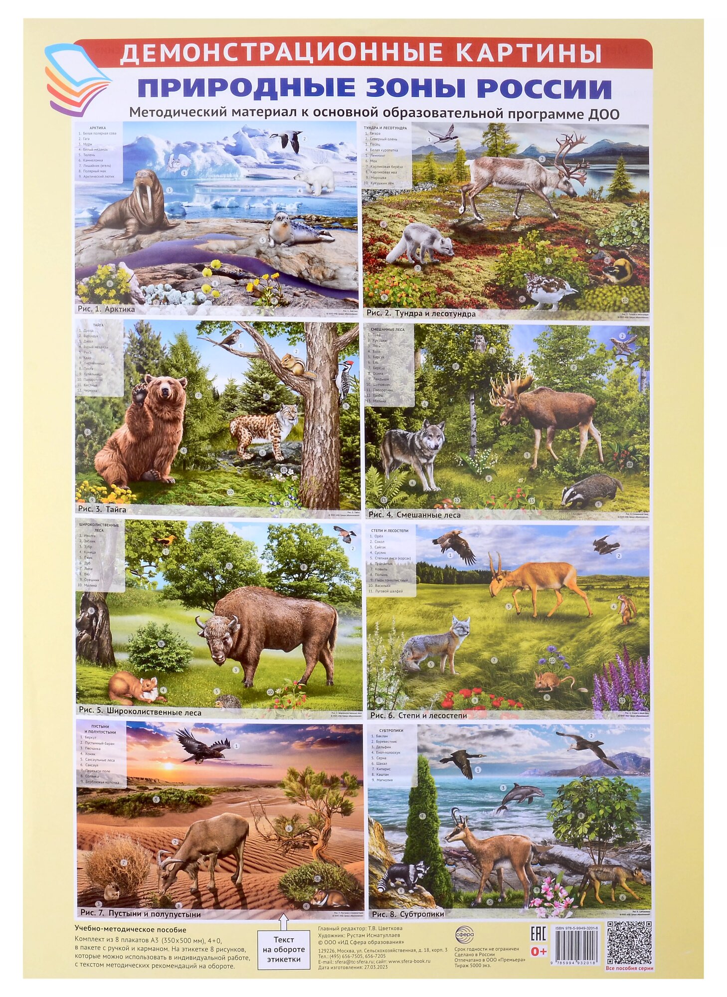 Природные зоны России. Демонстрационные картины.