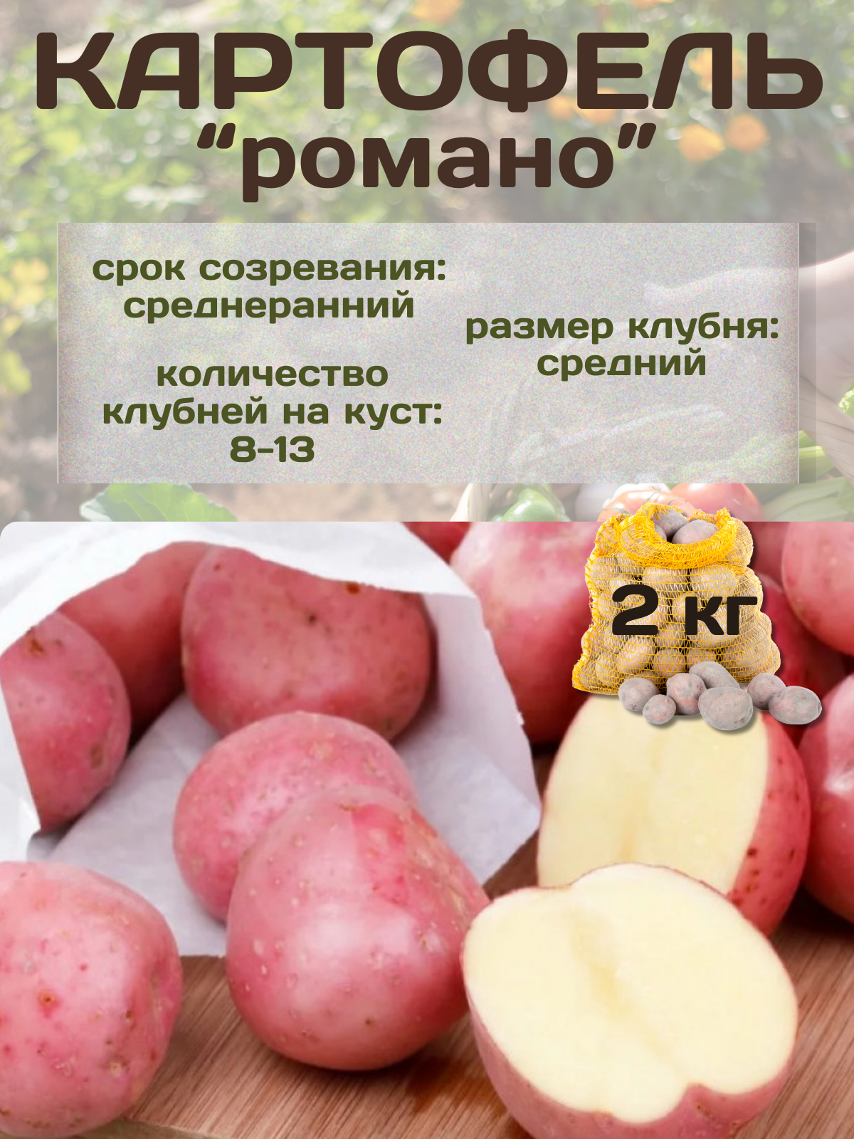 Картофель семенной Романо, 2 кг, на посадку