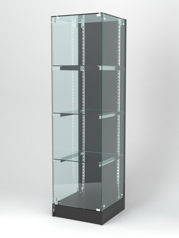 Витрина "астерия ХИТ продаж" №1 (с дверкой, задняя стенка - ДСП), Черный