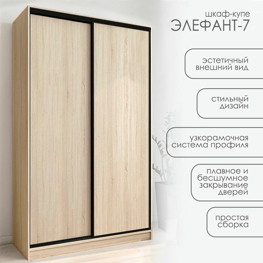 Шкаф-купе Элефант-7