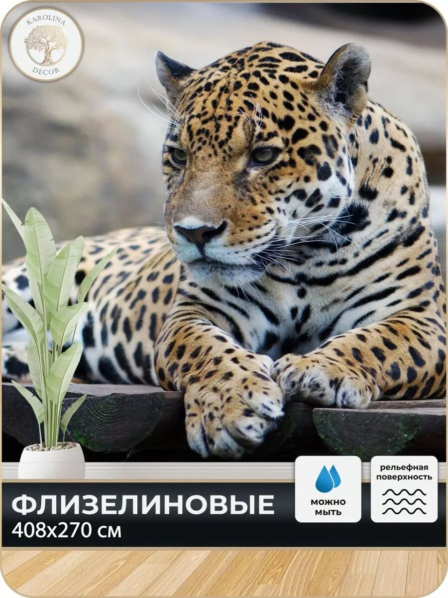 Фотообои Леопард в детскую в спальню на кухню 400х270