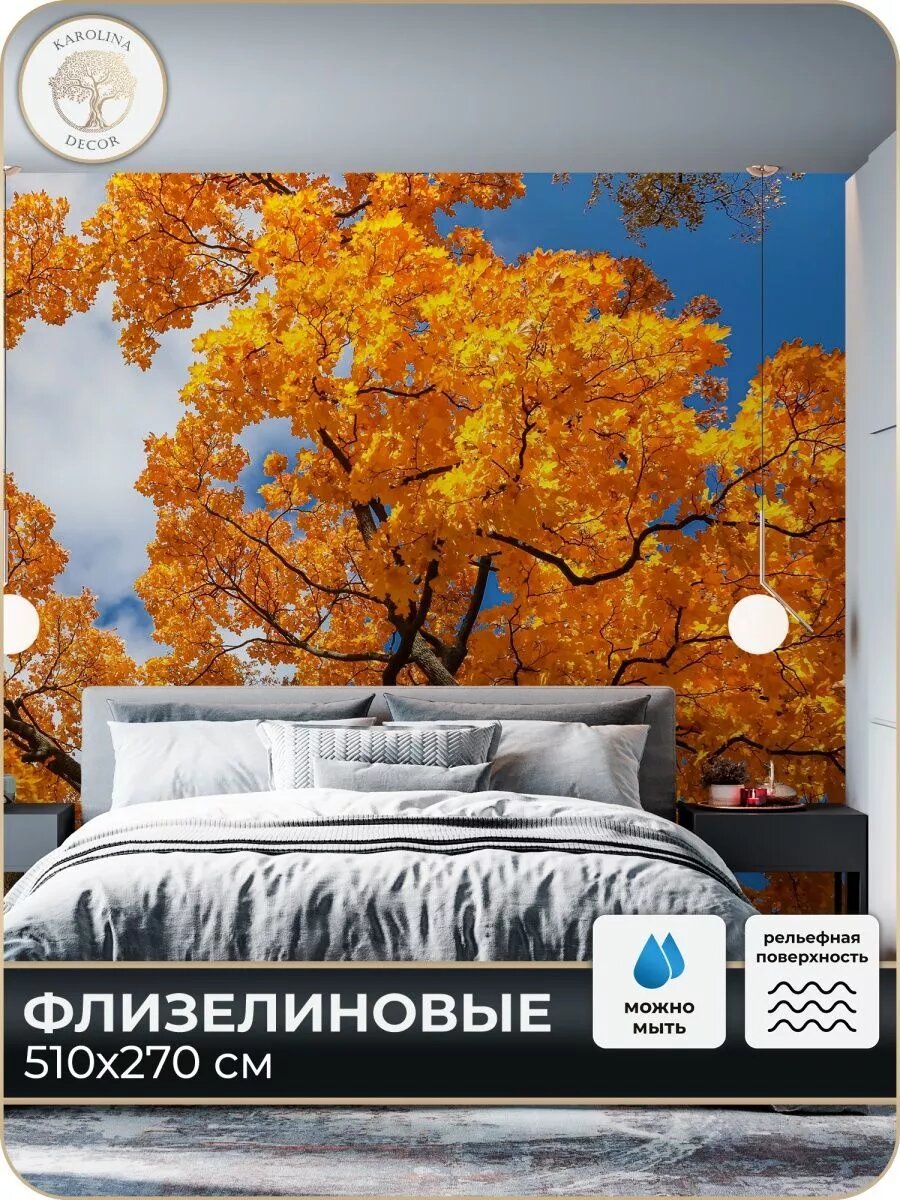 Фотообои Осенние деревья в детскую в спальню 500х270