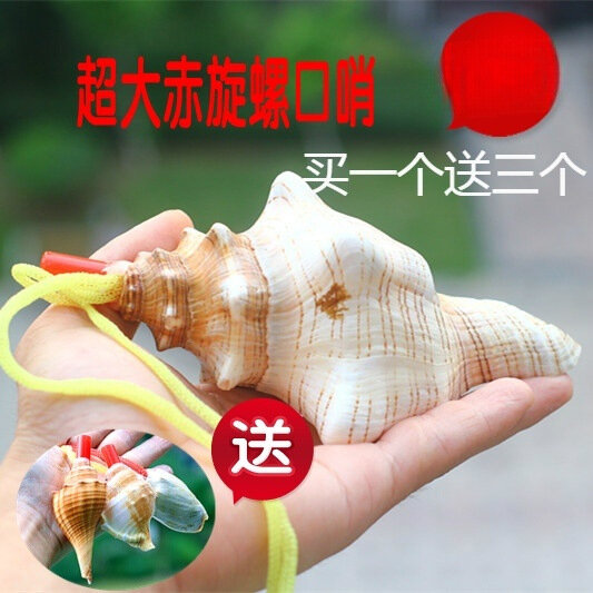 Бесплатная доставка, натуральные ракушки, красный раковинный свисток, раковинный рог, поставка для уличных торговцев, подарок для детей, Ван Цзинь