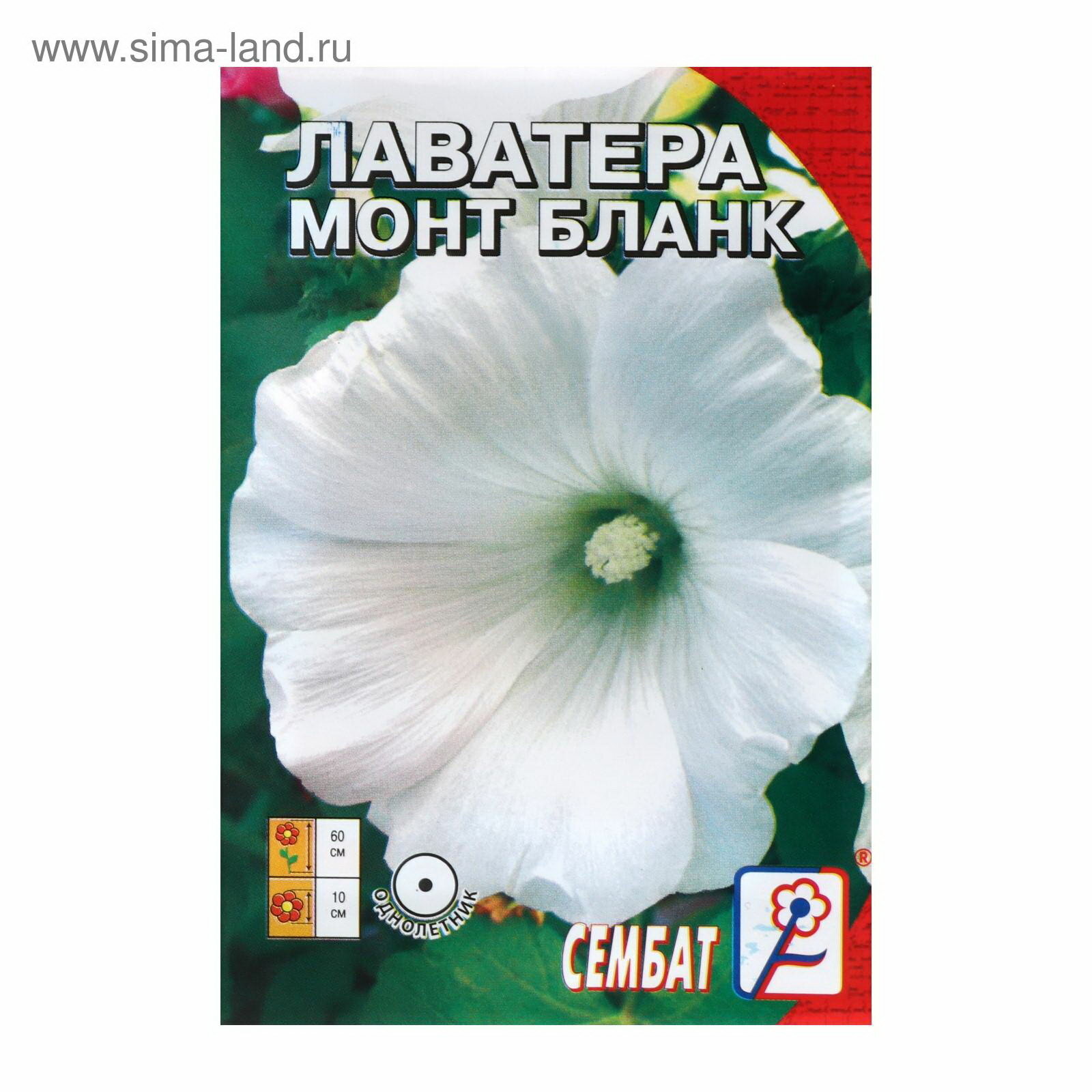 Семена цветов Лаватера белая "Монт бланк", 0.2 г, посев (посадка) в грунт: апрель, 7 шт.