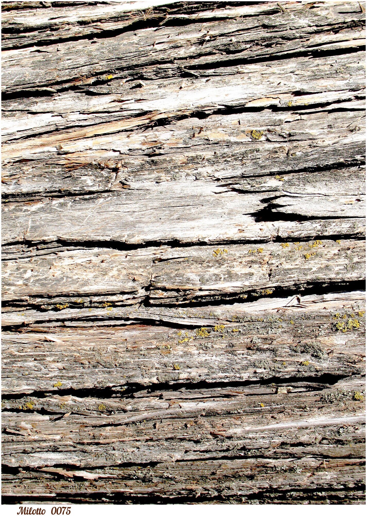 Рисовая бумага для декупажа карта салфетка А4 салфетка 0075 фон старая гнилая доска винтаж крафт Milotto