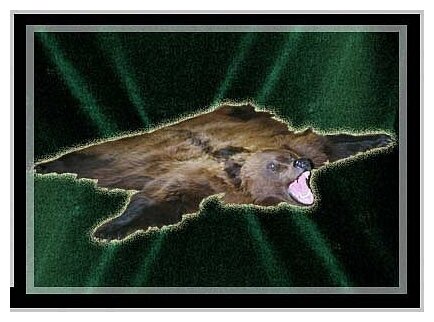 Чучело-art ковры из шкур