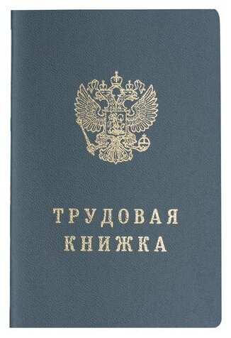 2 шт. Бланк документа "Трудовая книжка", 88х125 мм, гознак