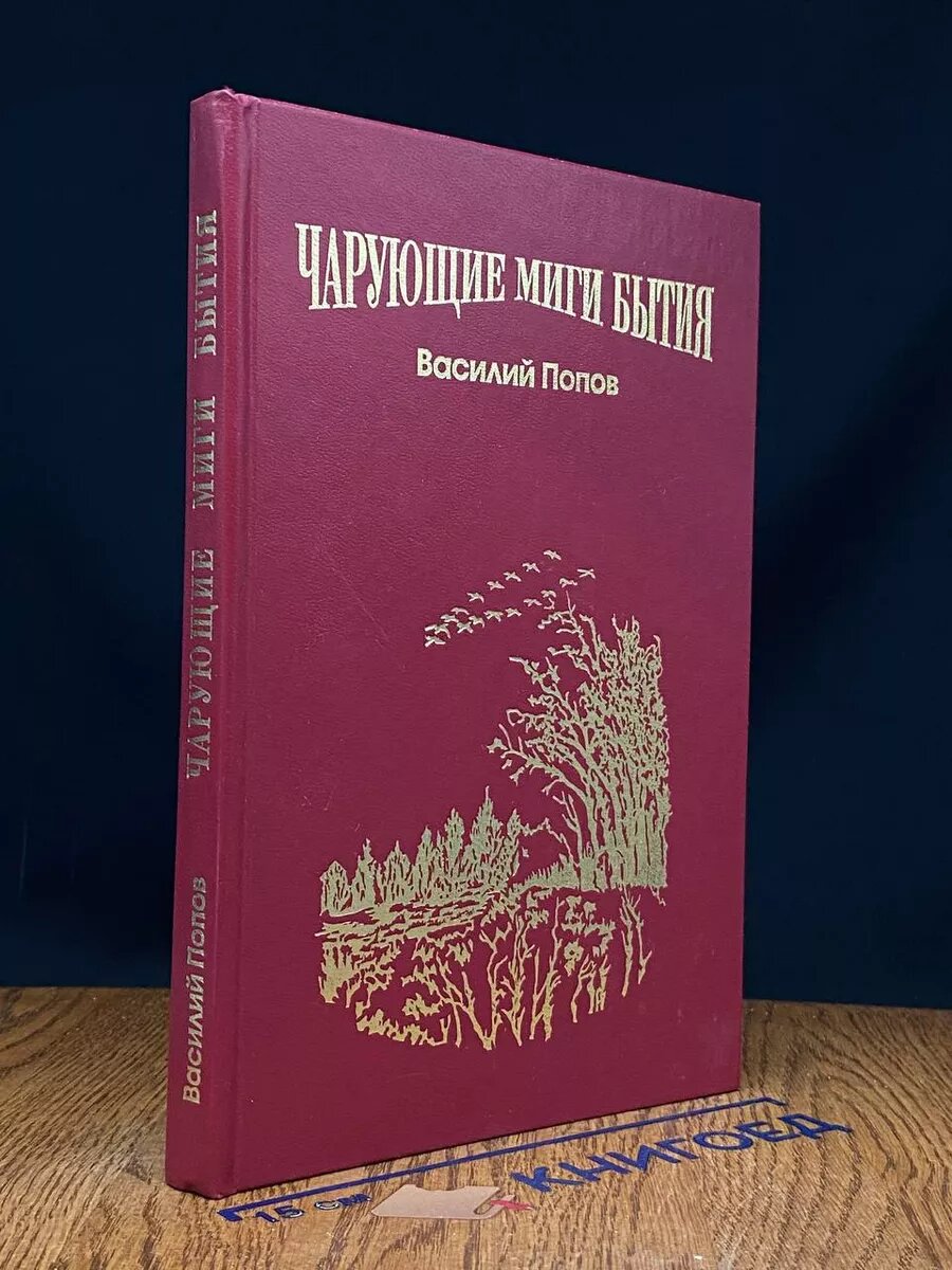 Книга. Чарующие миги бытия 2000 (2040662236292)