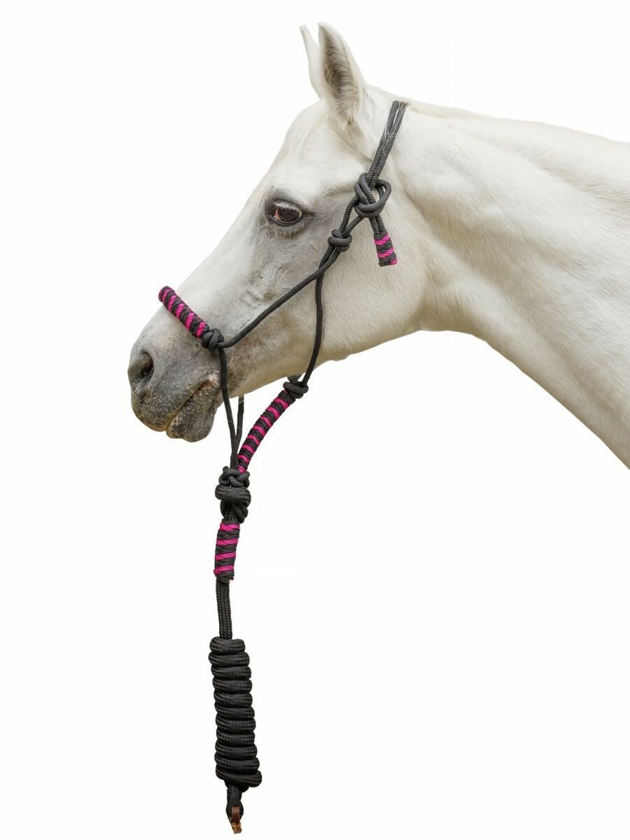 Уздечка для лошади