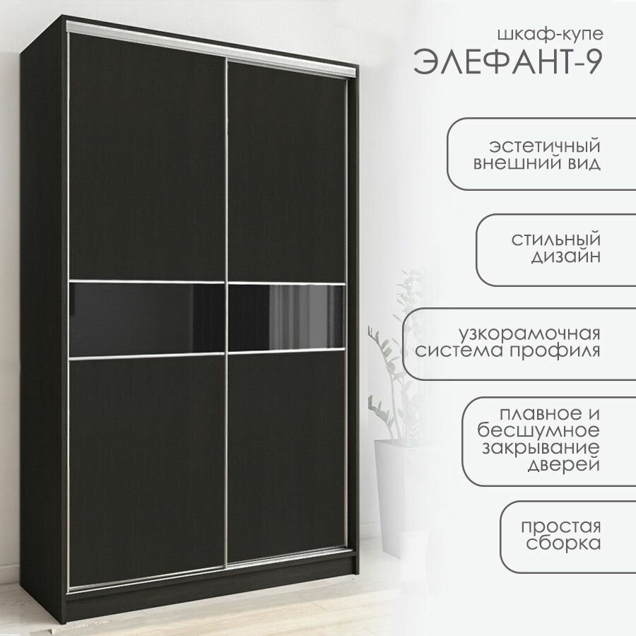 Шкаф-купе Элефант-9