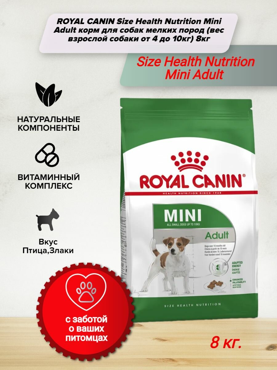 ROYAL CANIN Size Health Nutrition Mini Adult корм для собак мелких пород (вес взрослой собаки от 4 до 10кг) 8кг