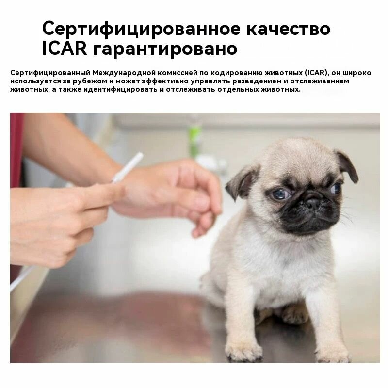 Микрочип для животных — фото 1