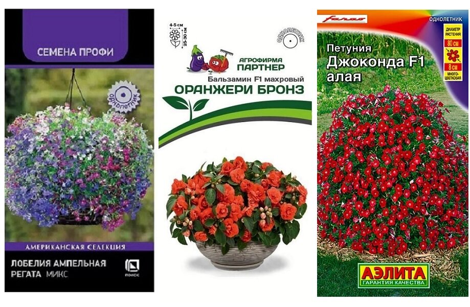 Набор семян Цветочная терраса (Бальзамин Оранжери Бронз, Лобелия Регата Микс, Петуния Джоконда Алая)