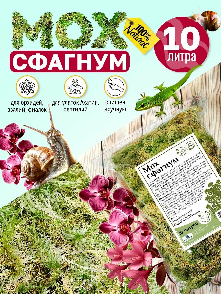 Мох сфагнум 10 литров для орхидей и террариумов, свежий, очищенный