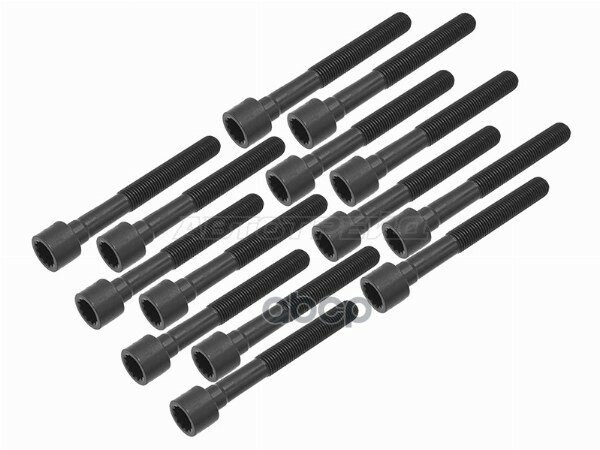 Болт ГБЦ (комплект) TOYOTA 1G-FE Sat арт. ST-117-0005