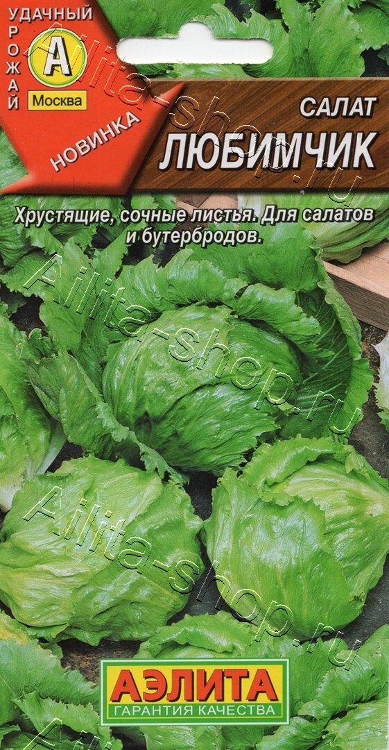 Салат кочанный Любимчик (3 упаковки), семена