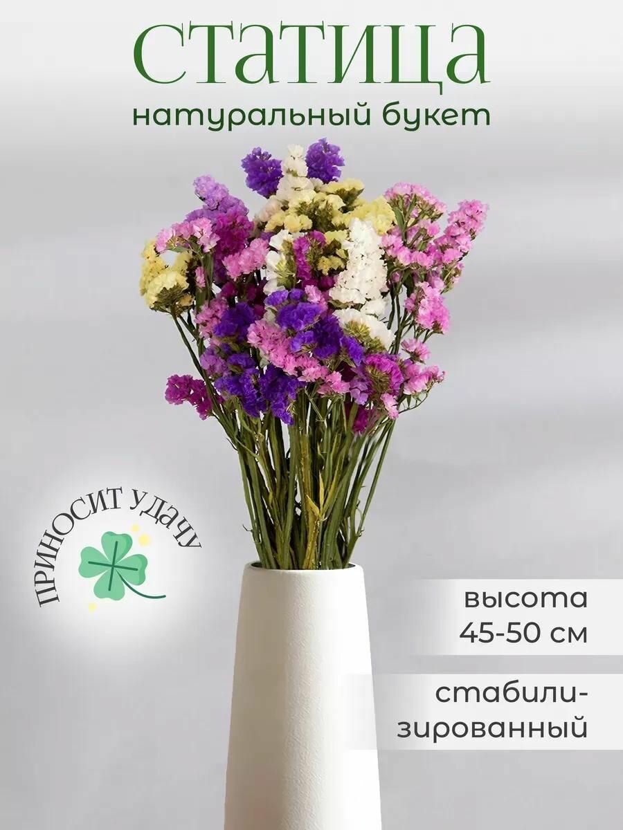 Цветы статица стабилизированная для декора дома и офиса, сухоцвет
